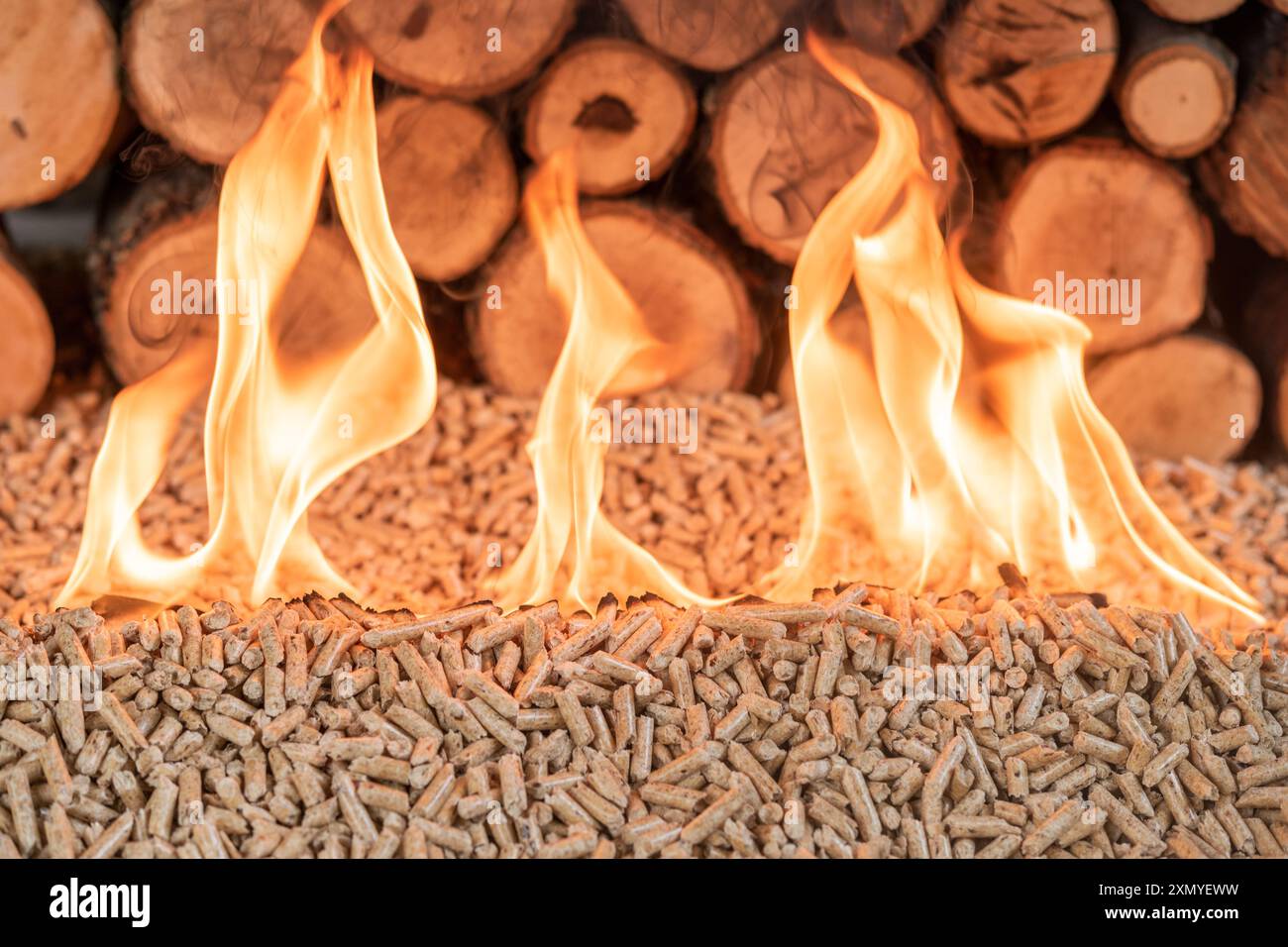 A pile of high quality oak pellets on fire in front of a wall of wood ...