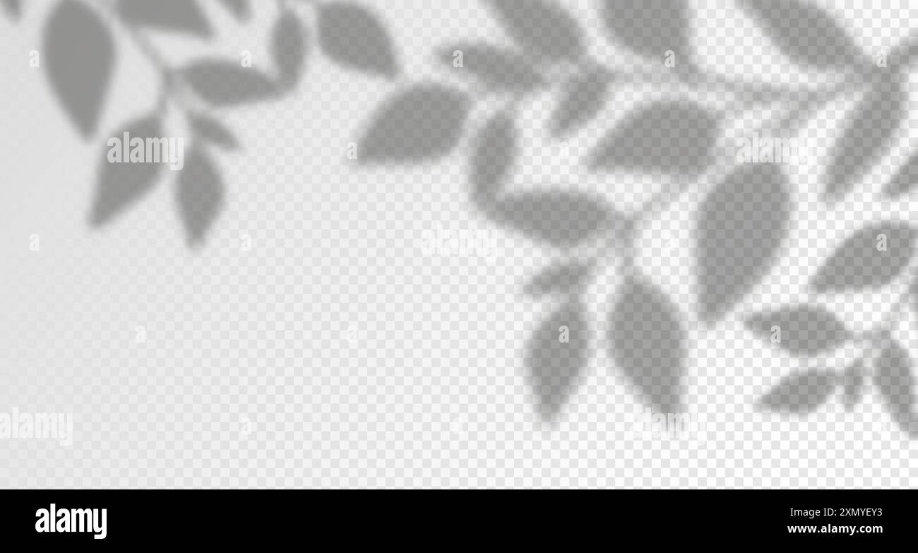 Soft overlay of natural light. Abstract background for product ...