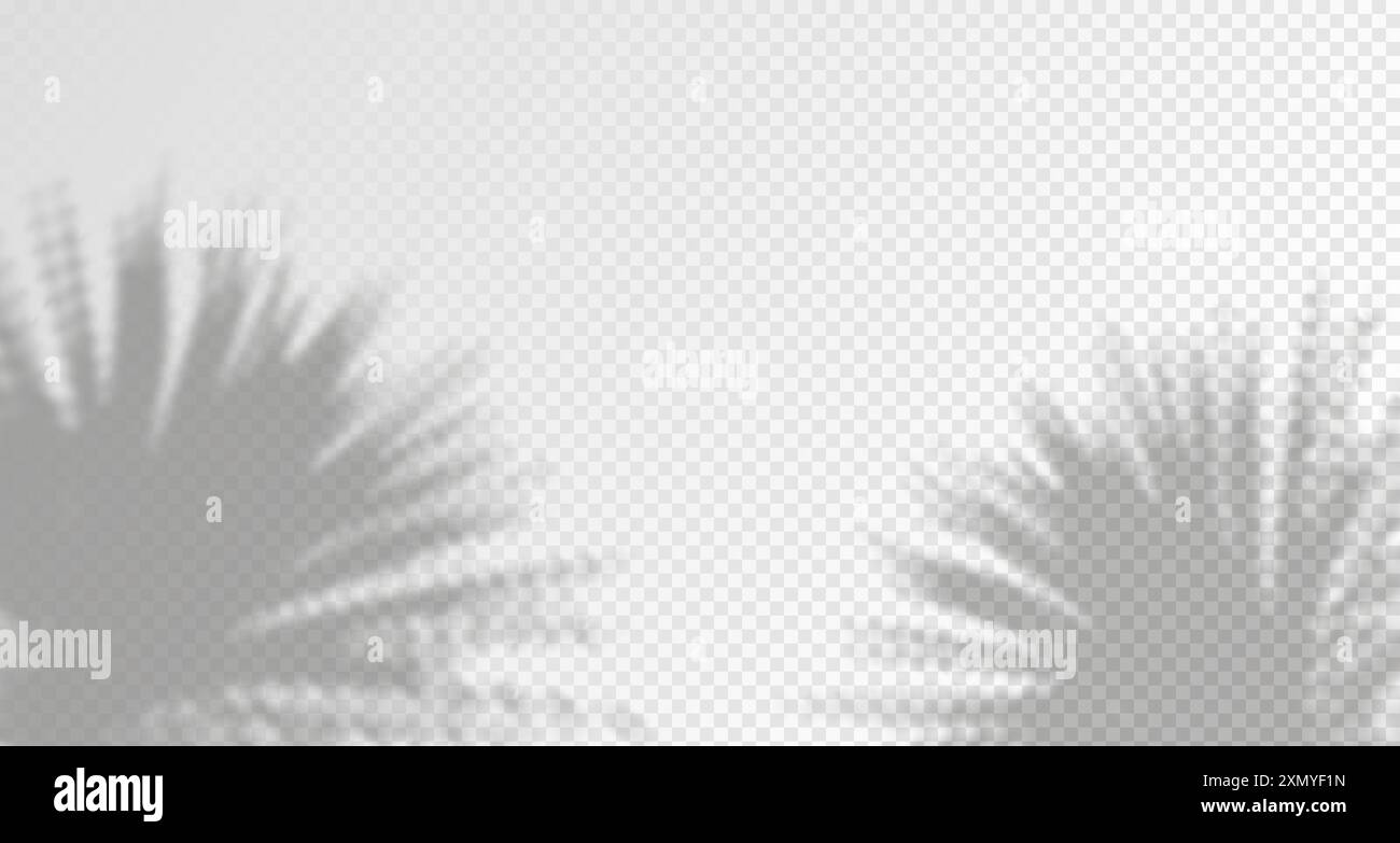 Soft overlay of natural light. Abstract background for product ...