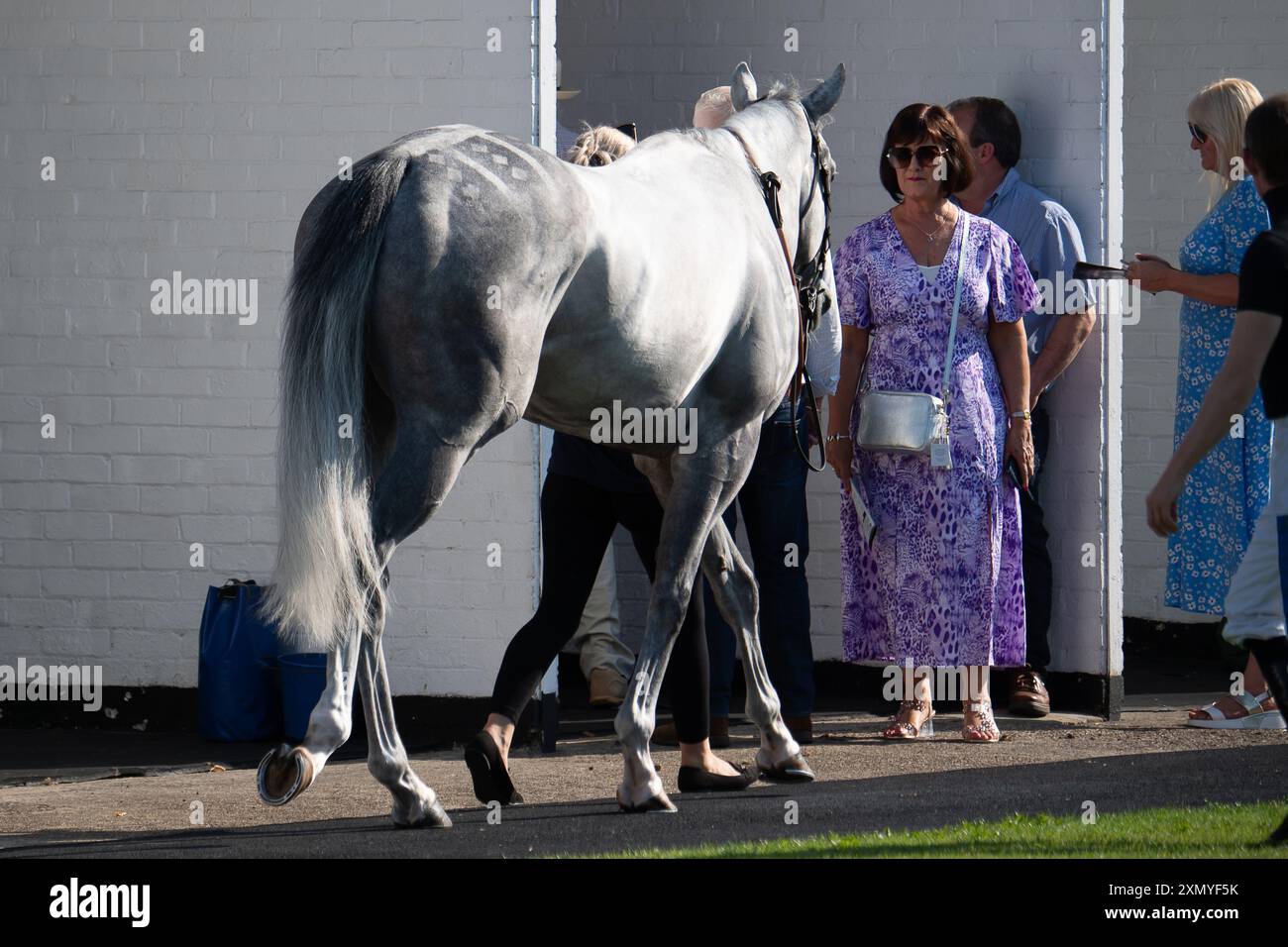Windsor, Berkshire, UK. 29th July, 2024. Horse Strike in the Pre Parade ...