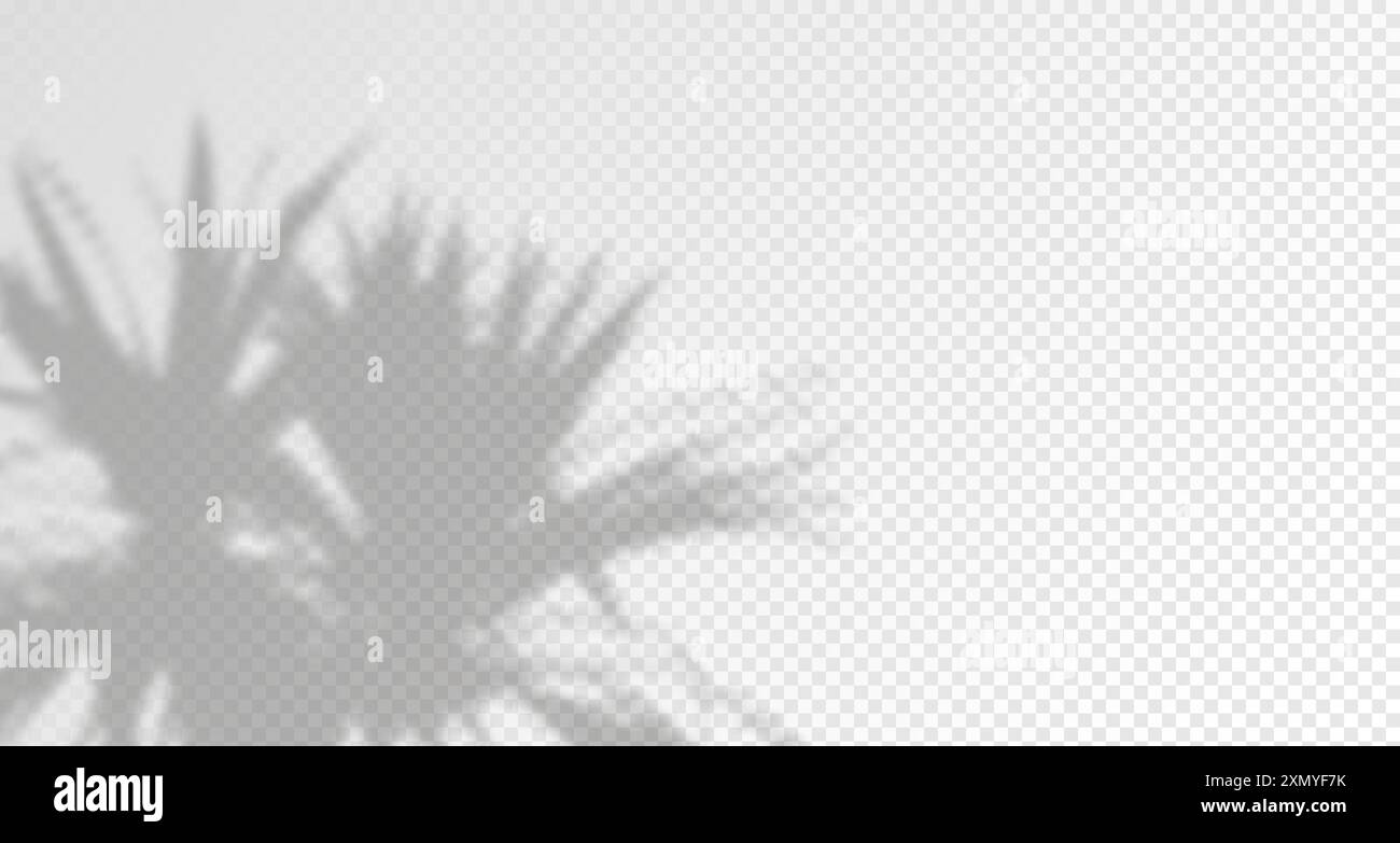 Soft overlay of natural light. Abstract background for product ...