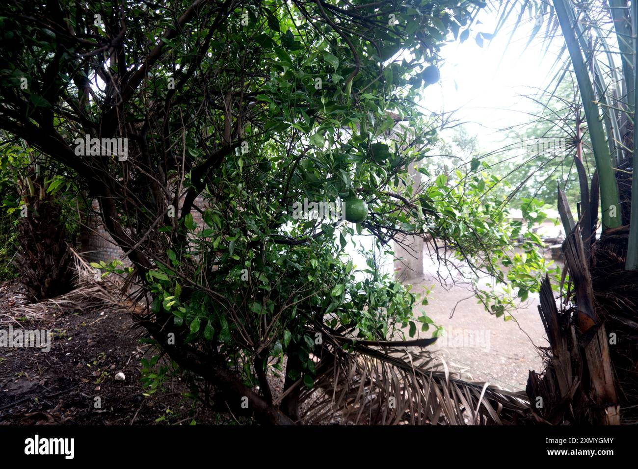 Threshold path hi-res stock photography and images - Alamy