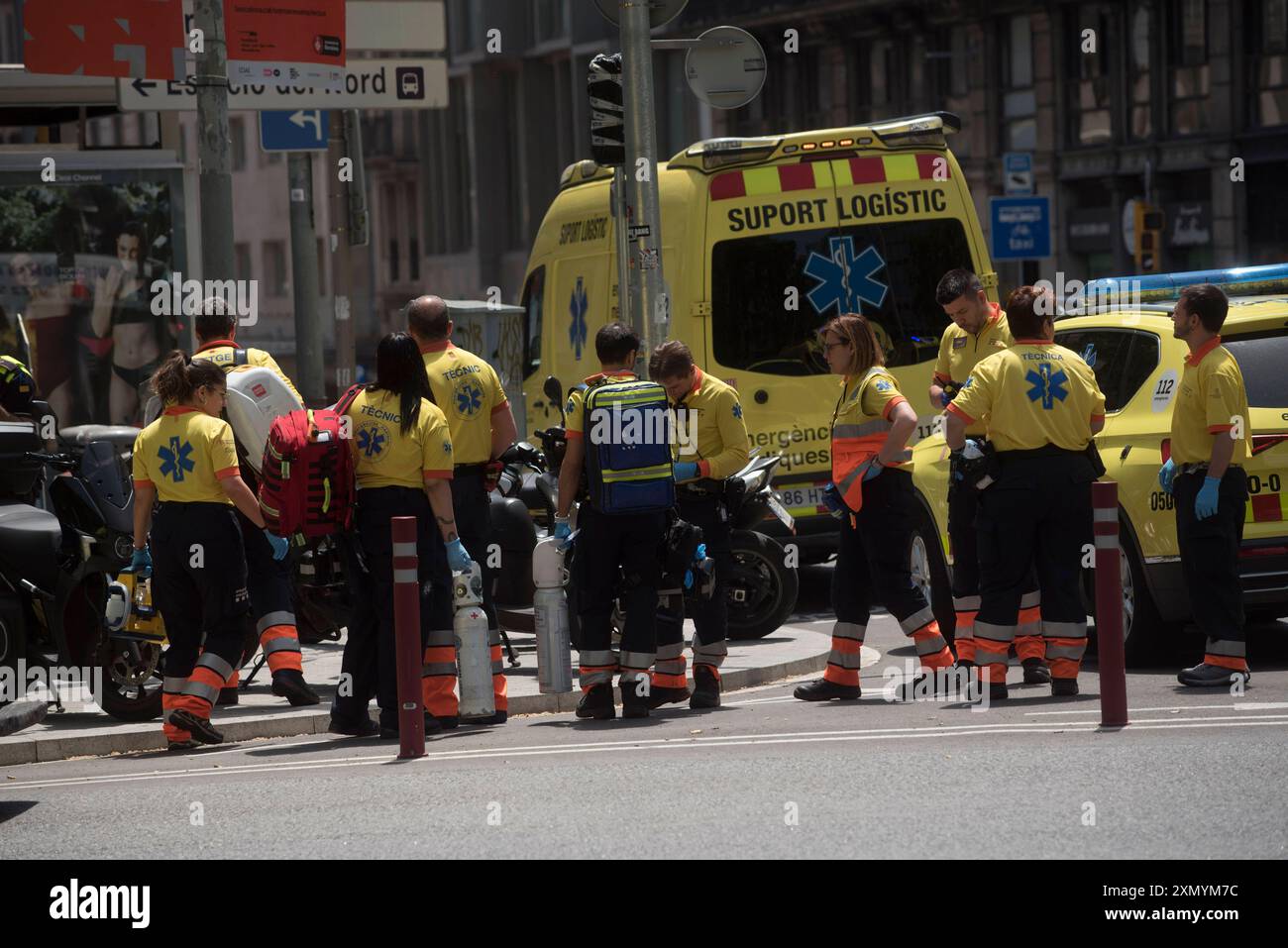 rescue service for the rapid assistance of injured persons rescue ...