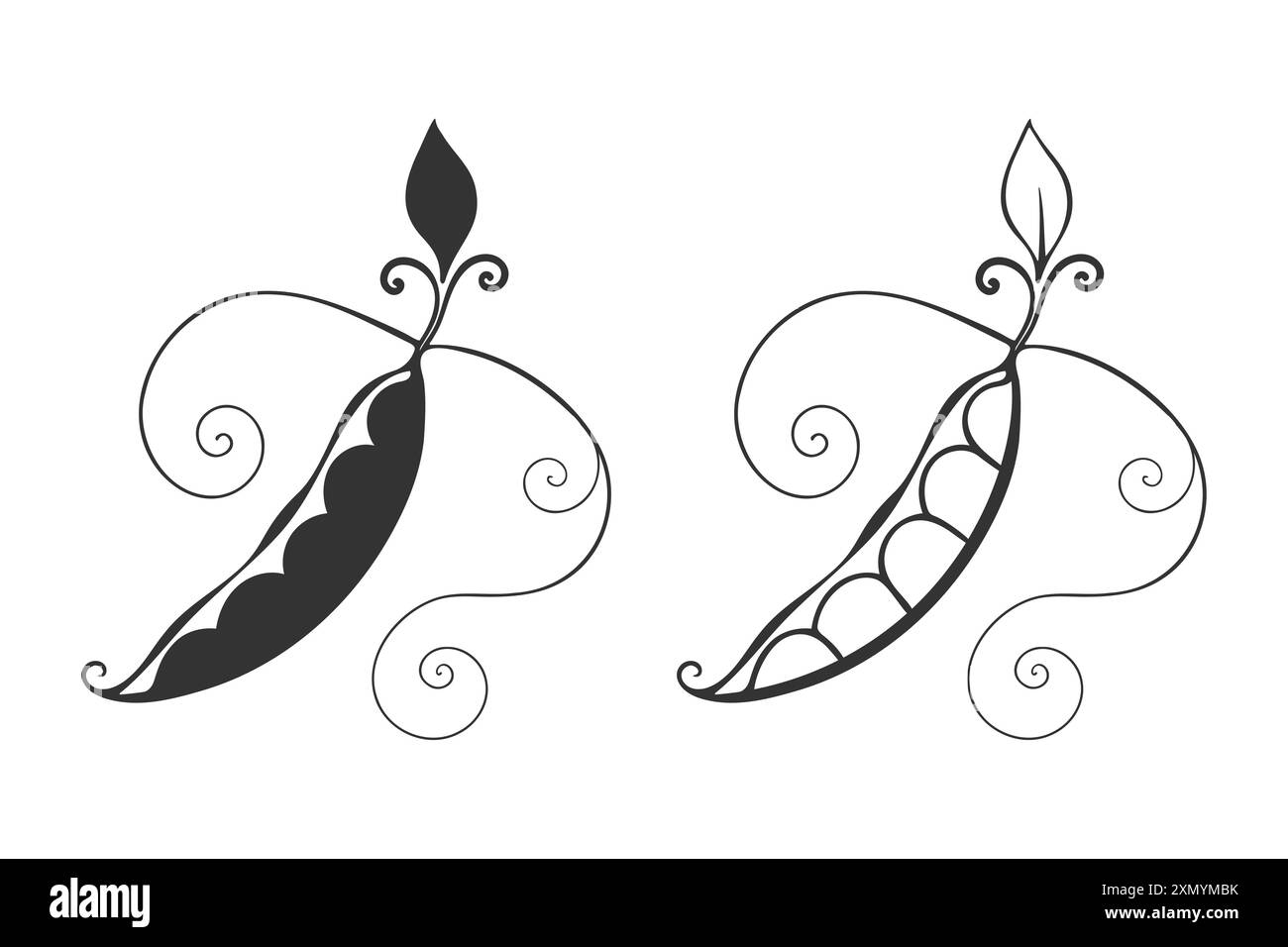 Stylized branch of Pea pod with leaves and climbing shoots, contour and ...