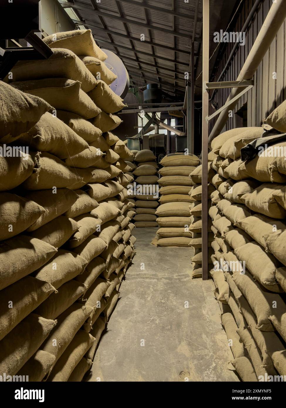 Sacks of coffee beans at a coffee farm warehouse stock photo Stock ...