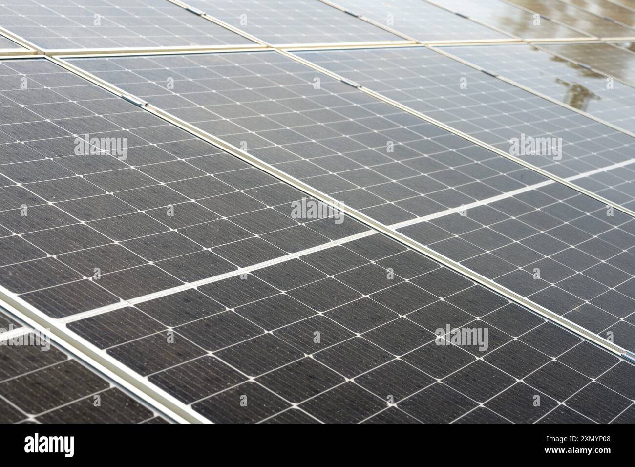 Close-up of eco technology of solar cell farm power plant. Solar cell ...