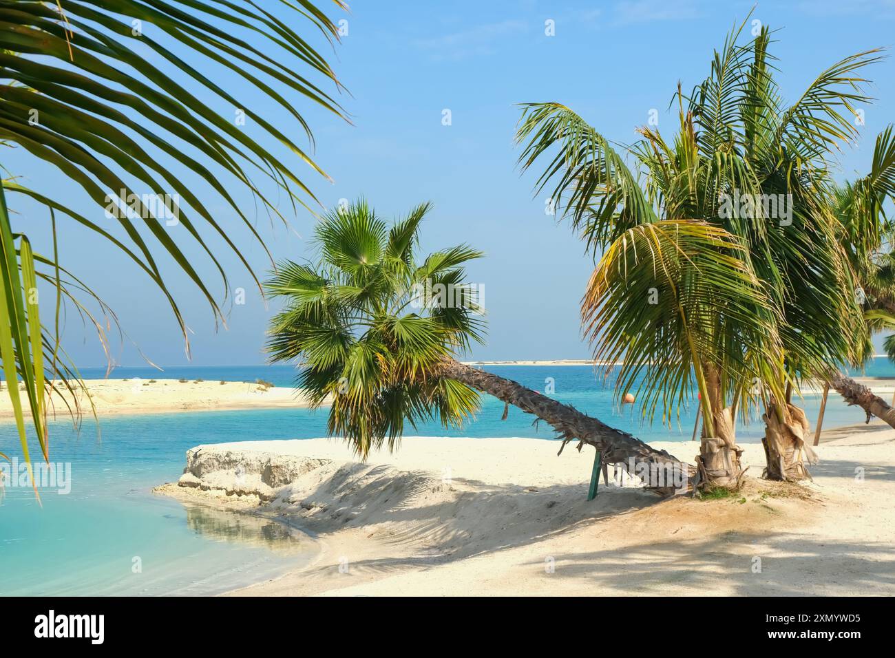 White sand beach with palm trees, turquoise sea gulf in the World ...