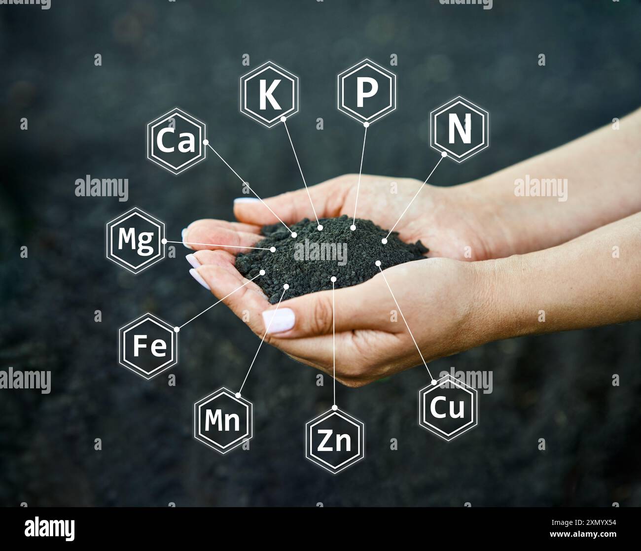 Woman hands holding handful of rich soil with chemical composition ...