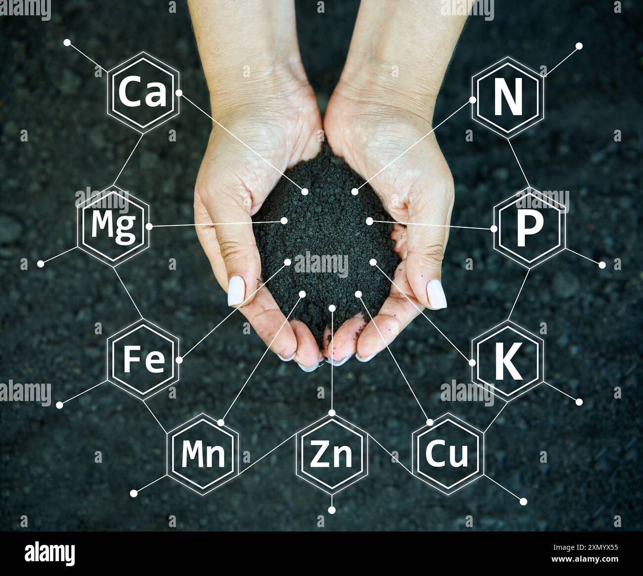 Woman hands holding handful of rich soil with chemical composition ...