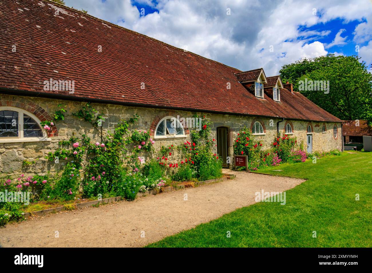 Colourful roses climbing the walls of the stable block buildings at ...