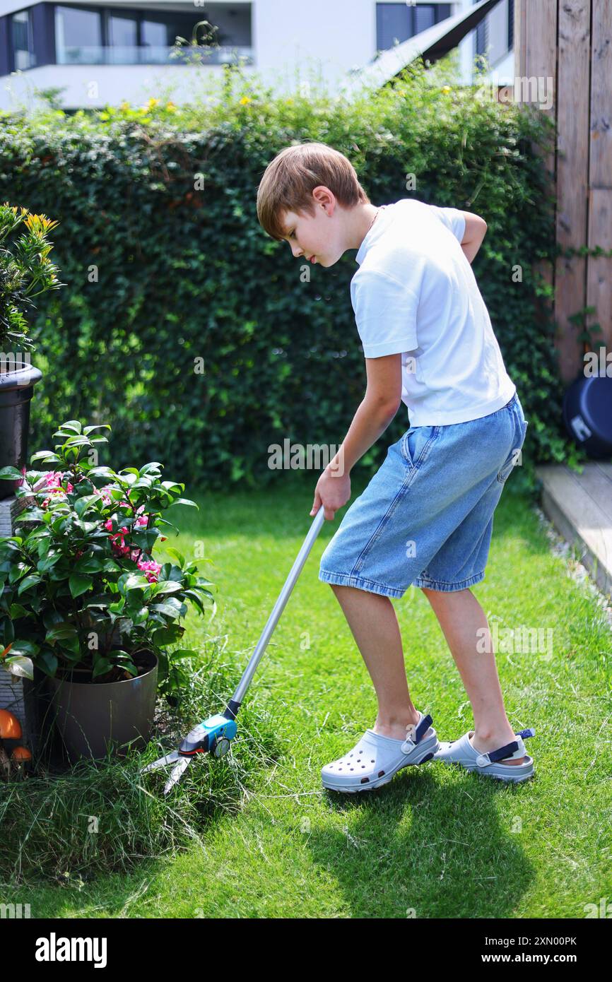 boy cutting grass in corners with special garden shears Stock Photo - Alamy
