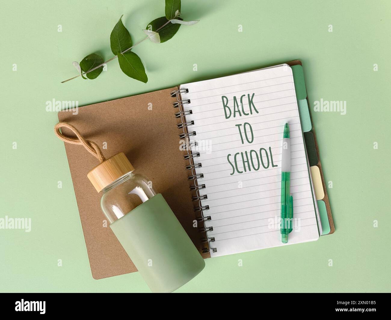 Back to School Notebook with Pen and Leaf on Green Background Stock ...