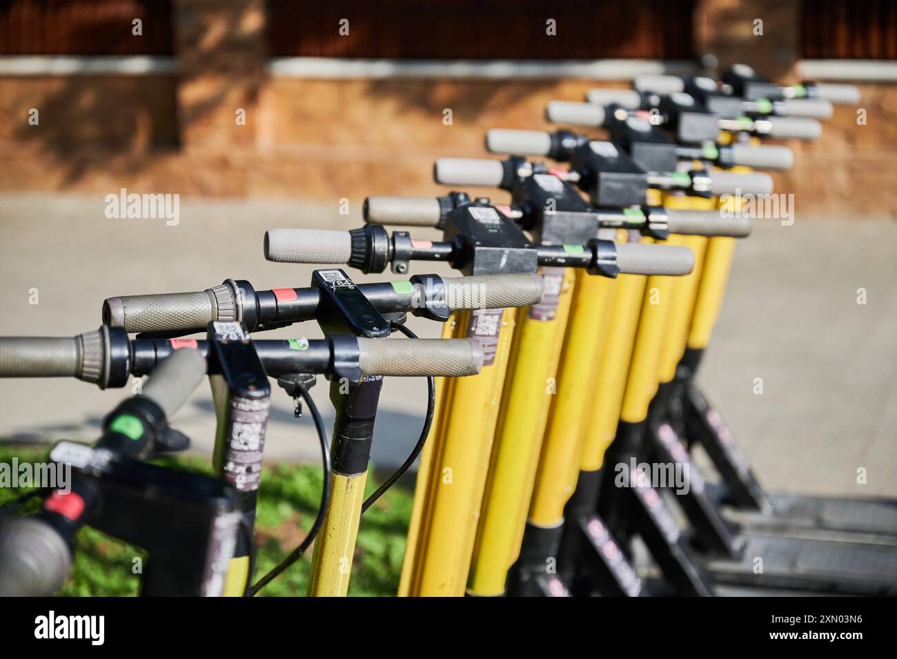 Row of electric scooters with yellow handlebars neatly lined up on ...