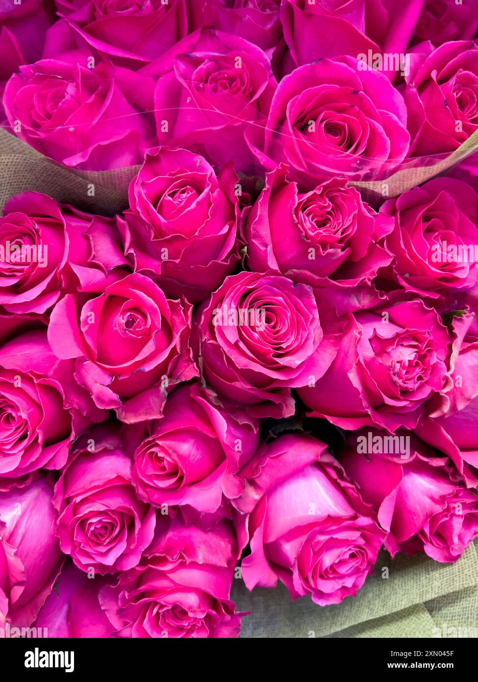 Roses bunched hi-res stock photography and images - Alamy