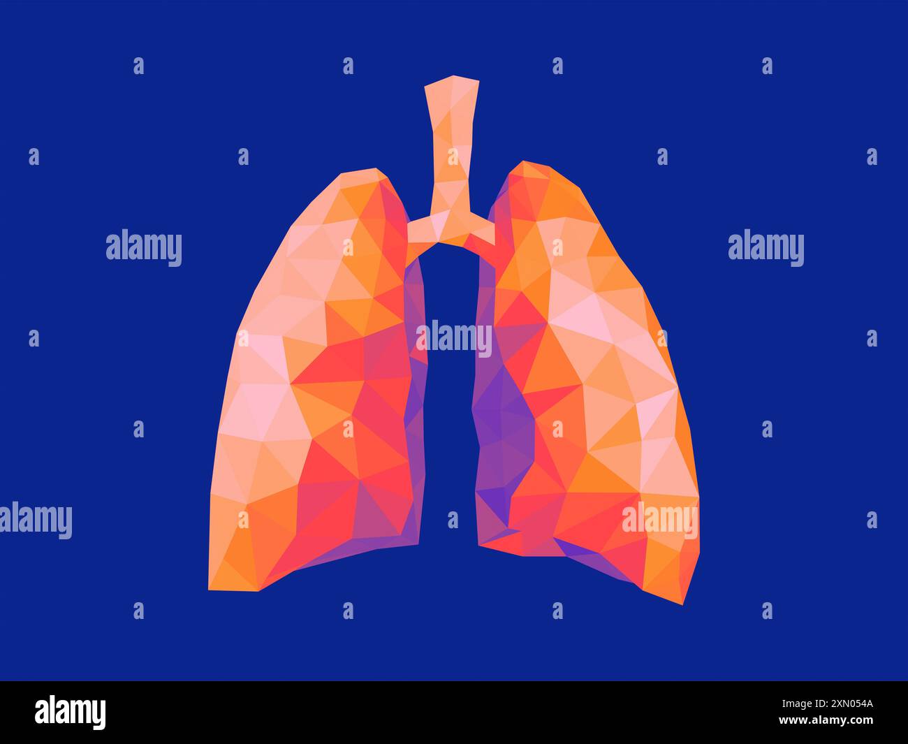 Human lungs in form hi-res stock photography and images - Alamy