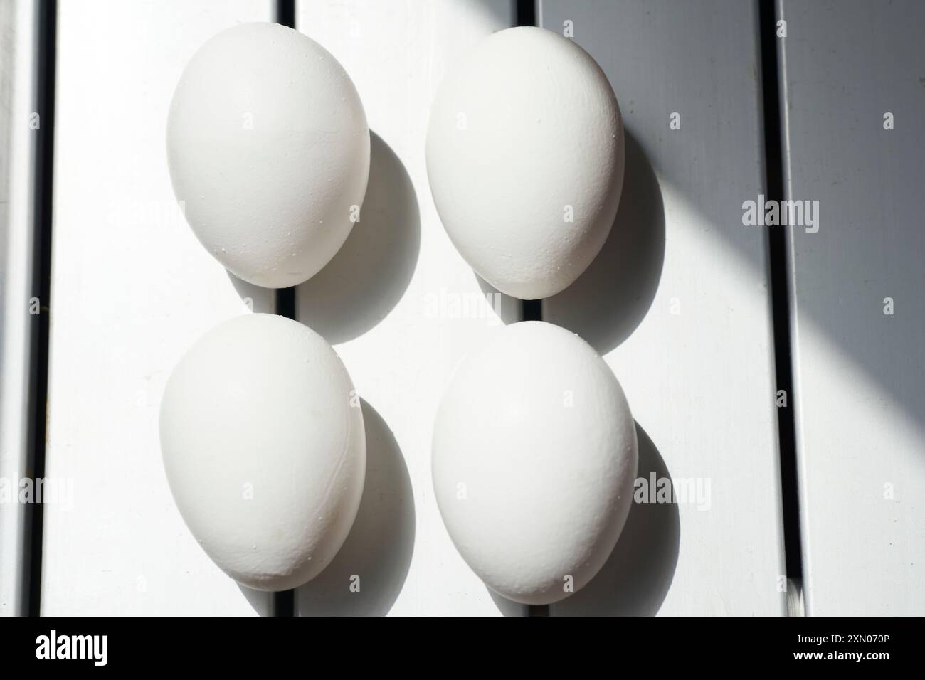 an oval or round object laid by a female bird, reptile, fish, or ...