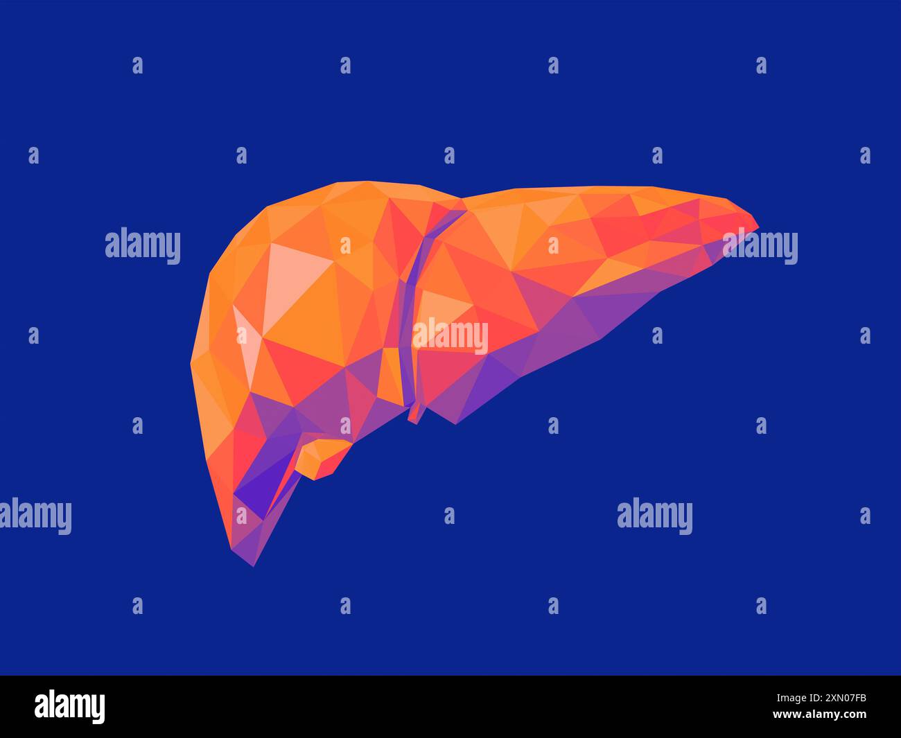 Abstract, low-poly liver rendered in warm orange and pink hues against ...