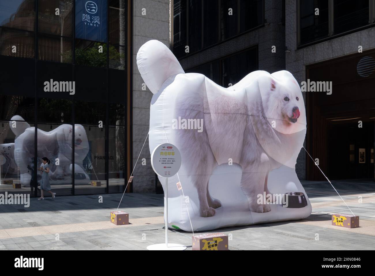 A cute image of a dog is being displayed as part of an art installation ...