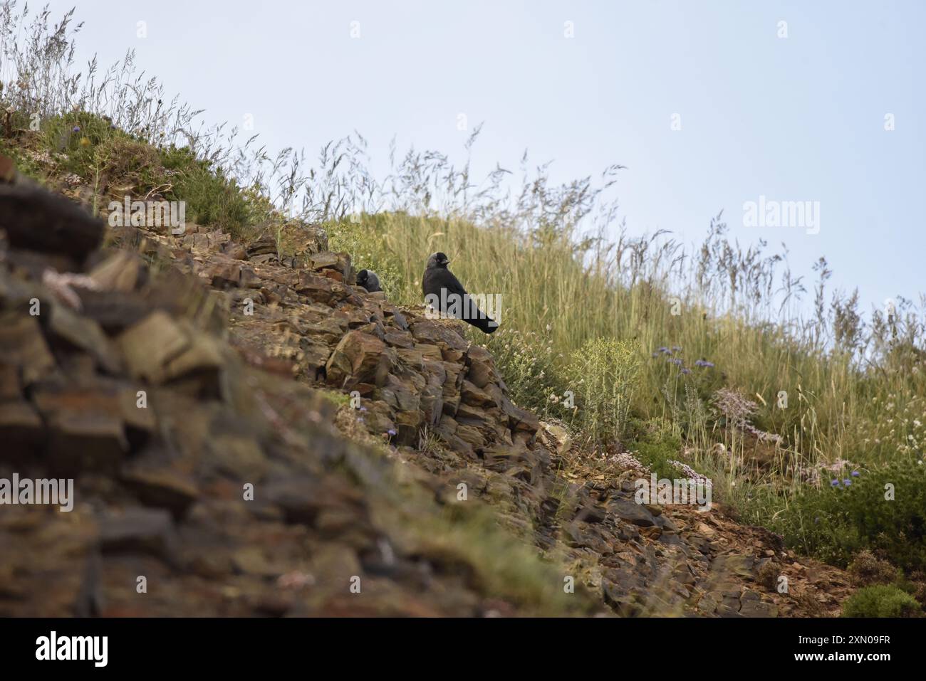 Up on the slope hi-res stock photography and images - Alamy