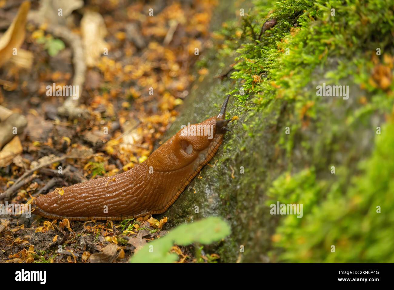 Outside sensor hi-res stock photography and images - Alamy