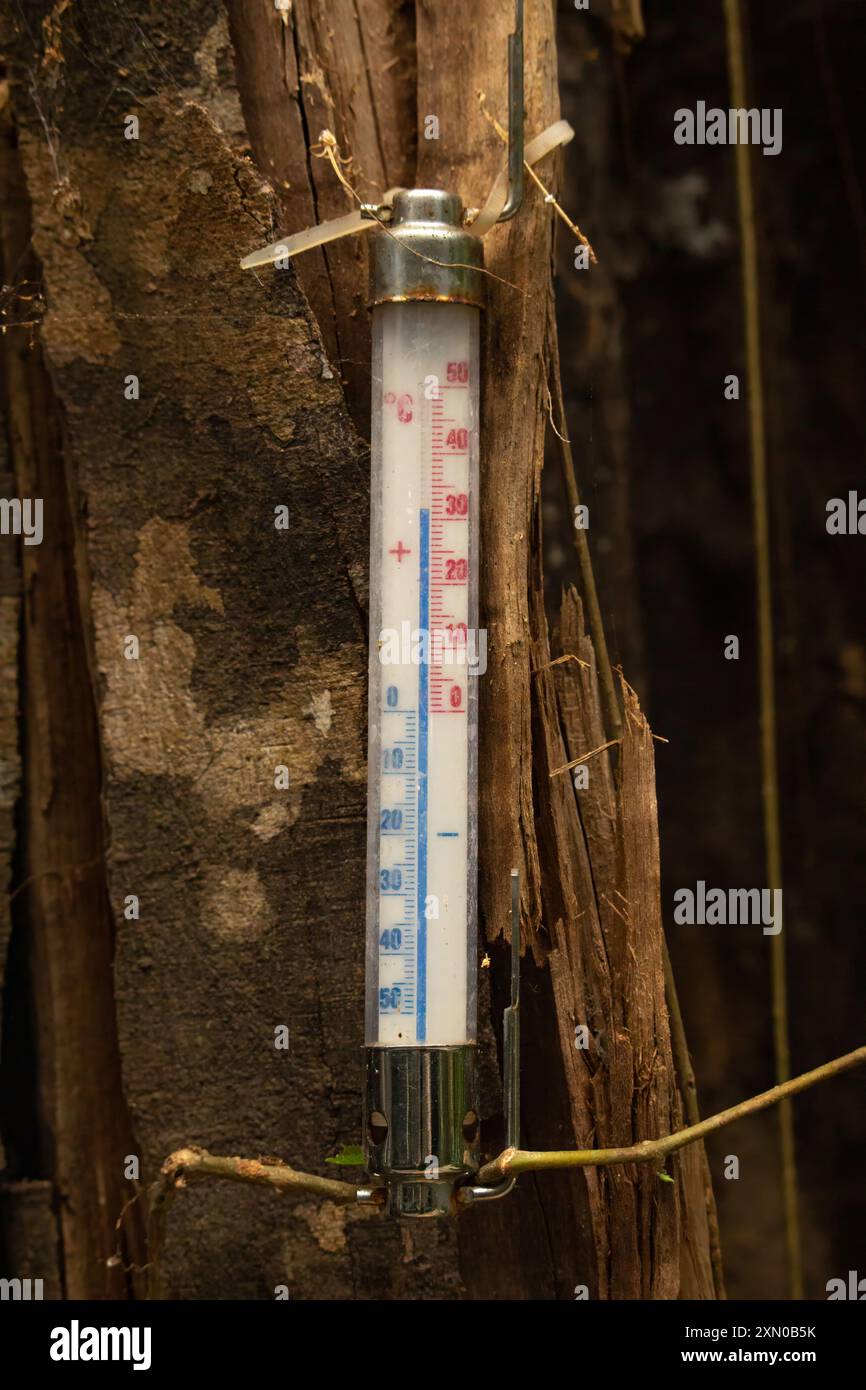 Device Indicator for Measuring Temperature Shows Plus 32 Degrees ...