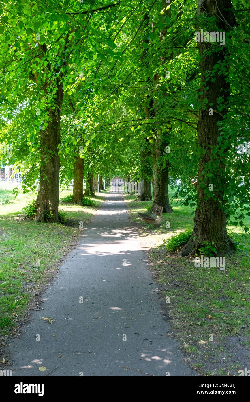 Shaded pathway hi-res stock photography and images - Alamy