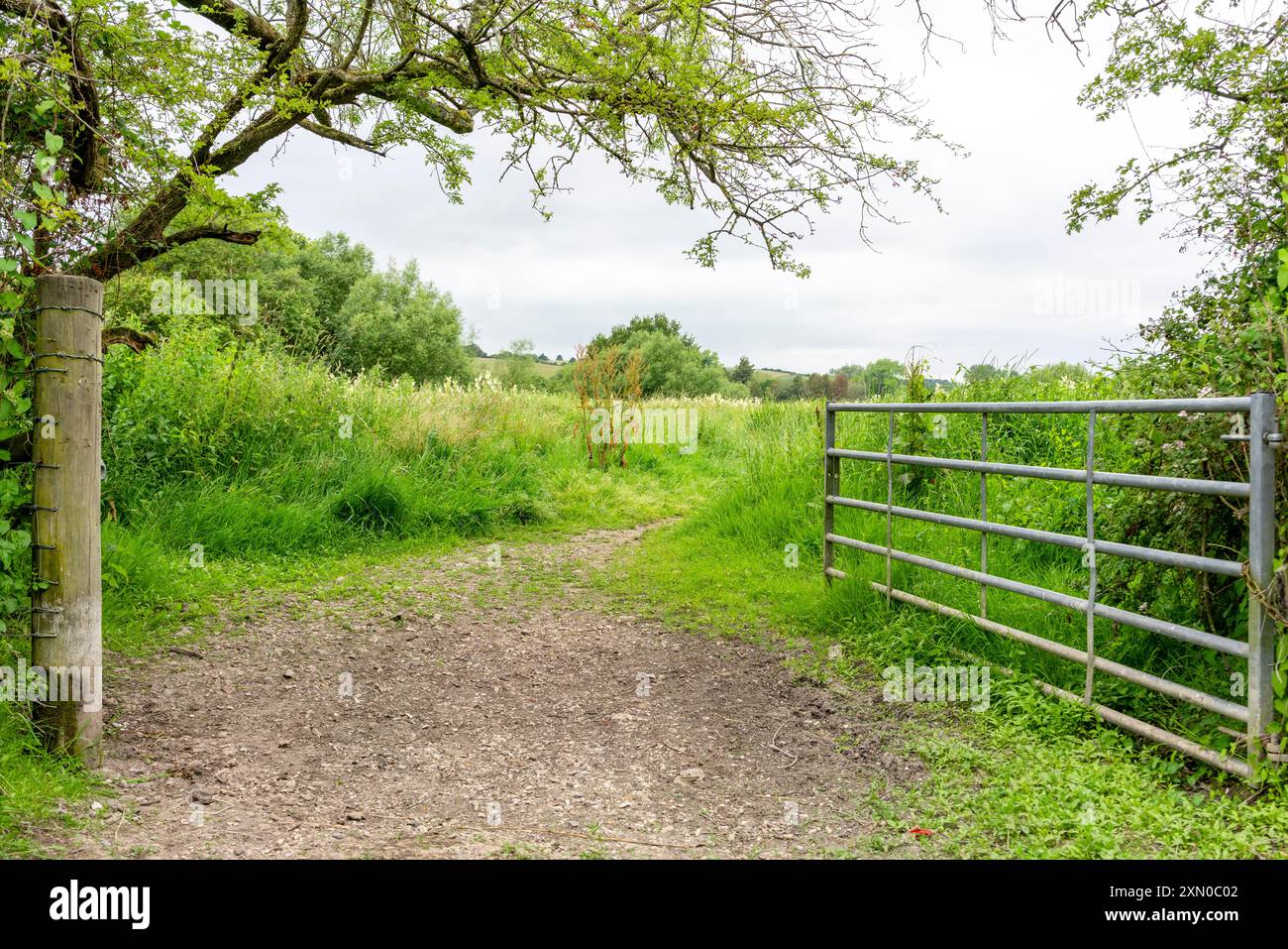 Open metal gate leading into field Stock Photo - Alamy