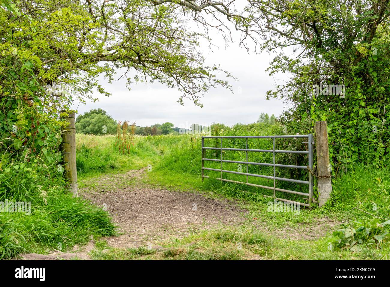Metal gate posts hi-res stock photography and images - Alamy