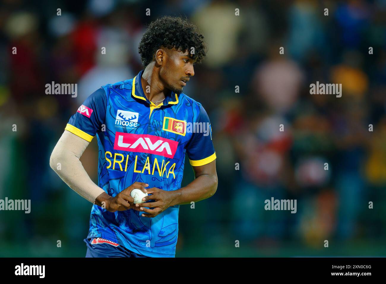 Chamindu wickramasinghe hi-res stock photography and images - Alamy