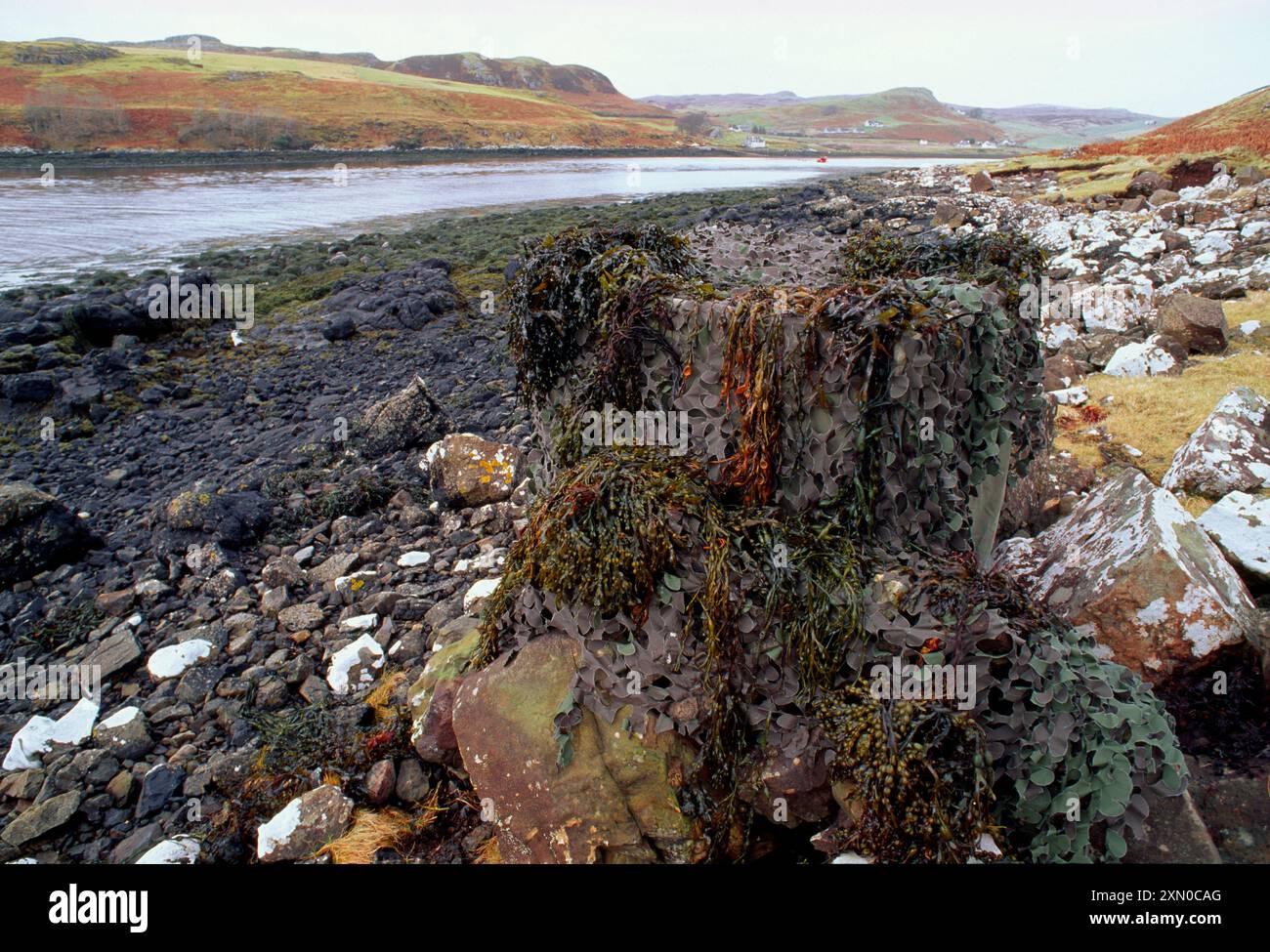 Portable canvas hide, with camouflage for watching and photographing ...