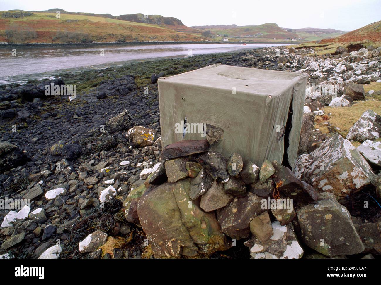 Portable canvas hide partly hidden by rock wall for watching and ...