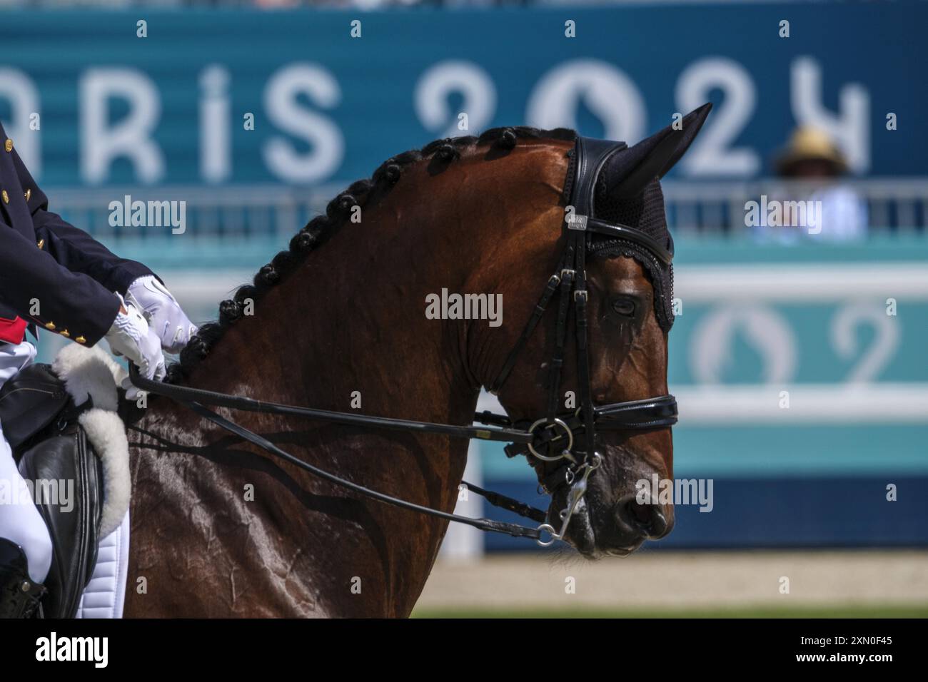 Equestrian, Carl HESTER riding FAME (GBR) during the Dressage ...