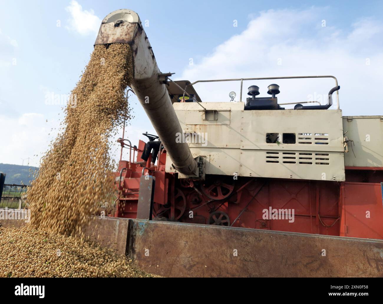 Grain auger of combine pouring soy bean into tractor trailer, harvest ...