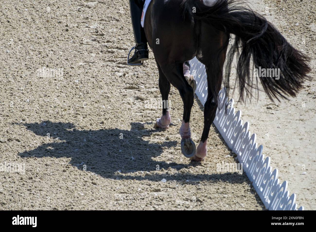 Equestrian, Marcus ORLOB riding JANE during the Dressage Individual ...