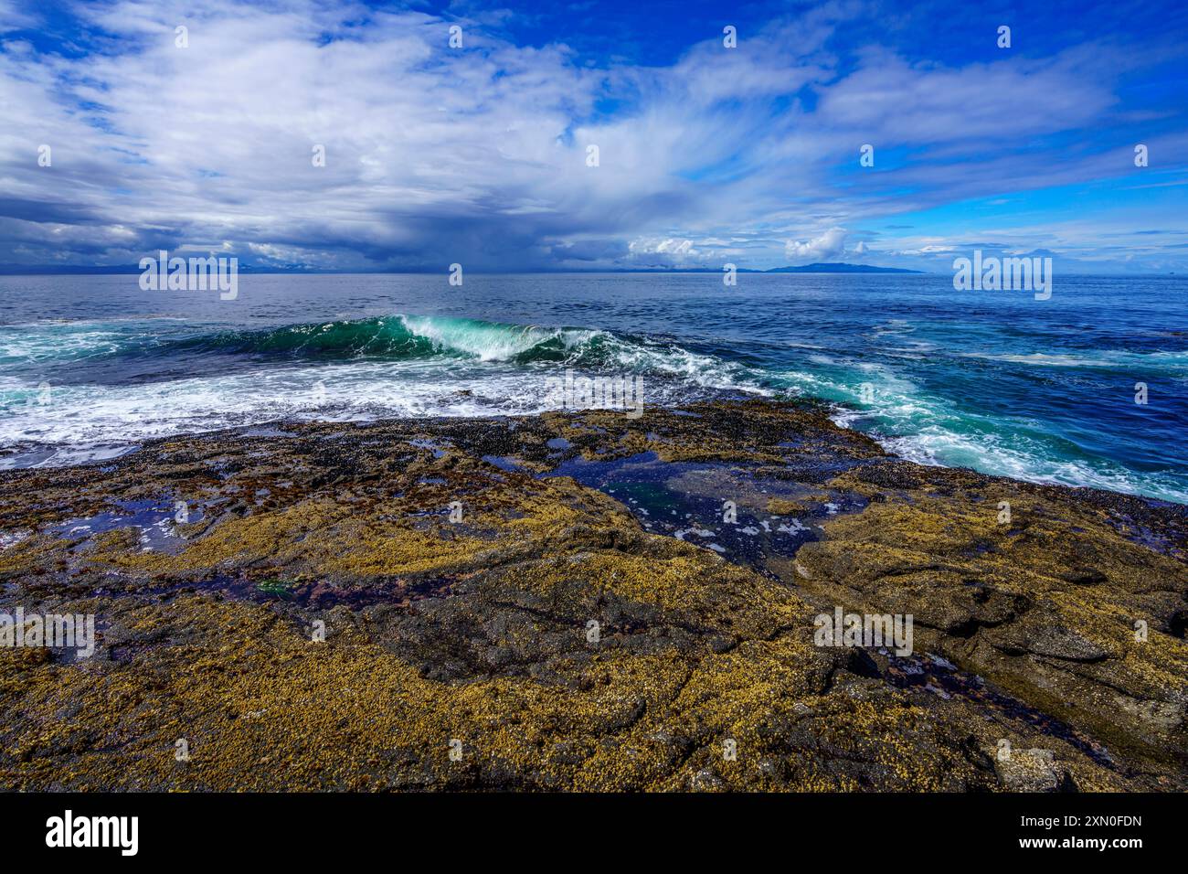 A small wave breaking on the rocky shoreline of Juan de Fuca Provincial ...