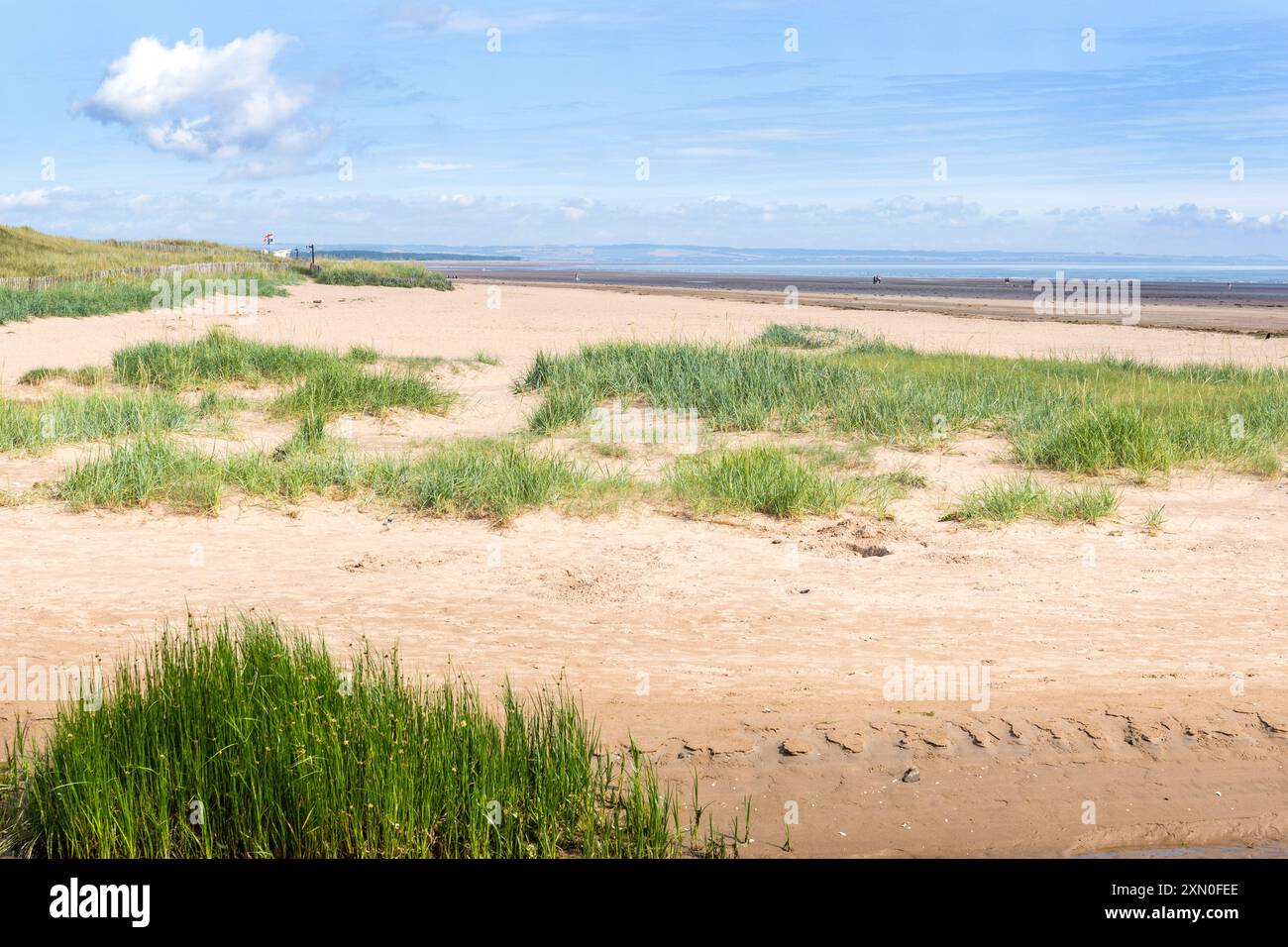 St andrews west sands beach summer hi-res stock photography and images ...