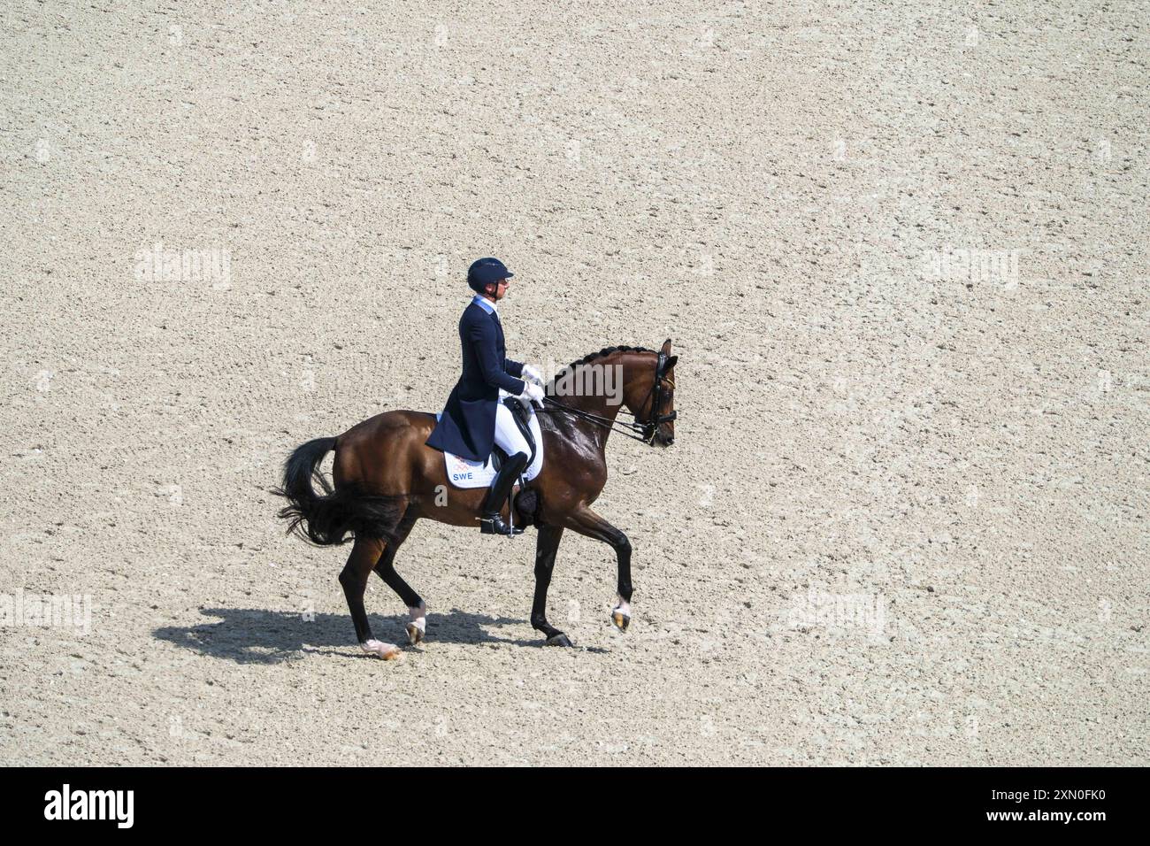 Equestrian, Patrik KITTEL riding TOUCHDOWN during the Dressage ...