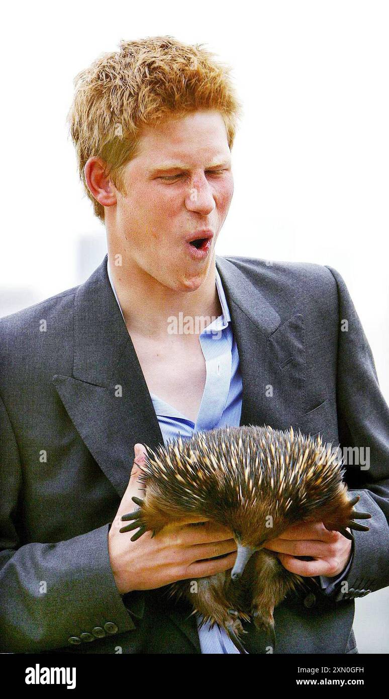 Zoo di famiglia hi-res stock photography and images - Alamy