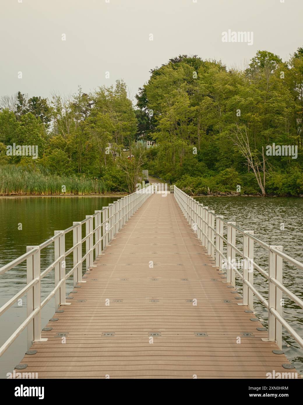 Lake Williams Trail boardwalk, Marlborough, Massachusetts Stock Photo ...