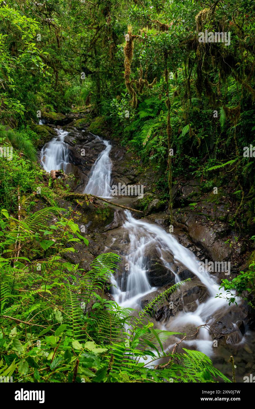 Beautiful waterfall, stream and lush rainforest in Barú volcano ...