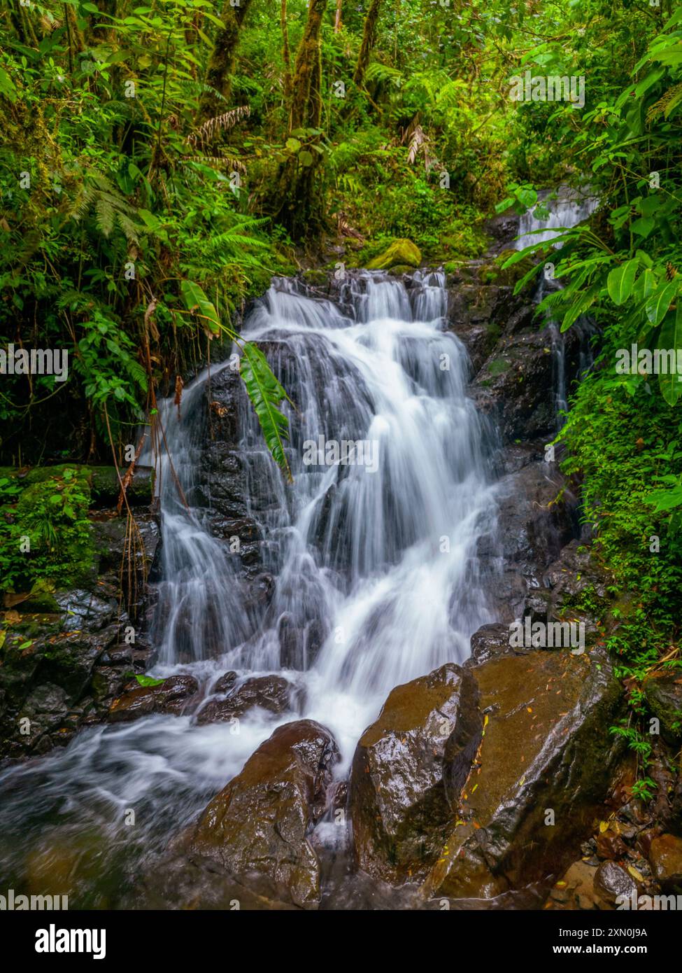 Beautiful waterfall, stream and lush rainforest in Barú volcano ...