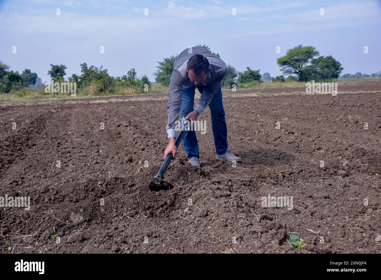 Indian farmer digging hi-res stock photography and images - Alamy