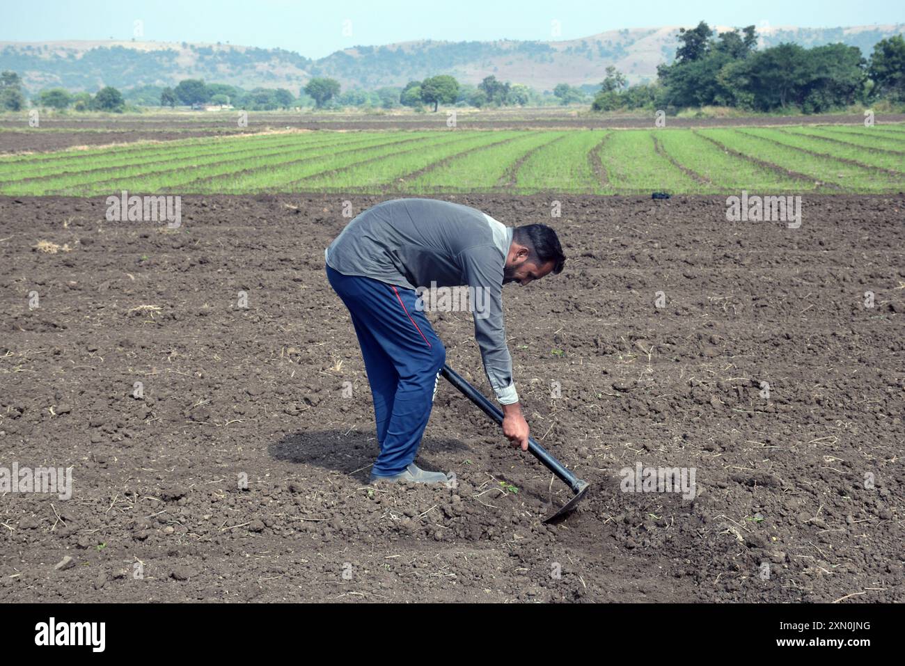 Indian farmer digging hi-res stock photography and images - Alamy