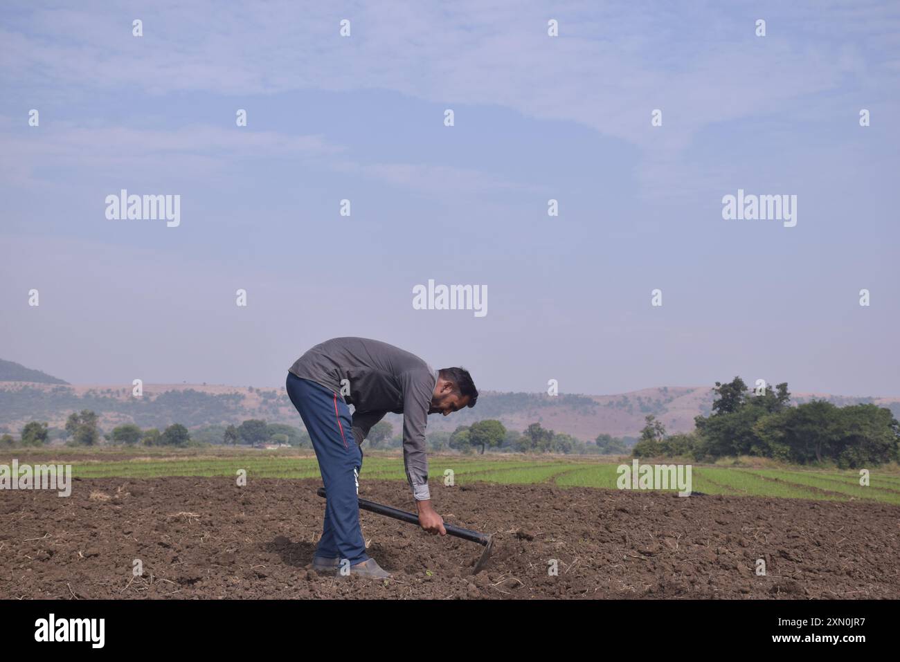 Indian farmer digging his field with a spade, farm and sky background ...