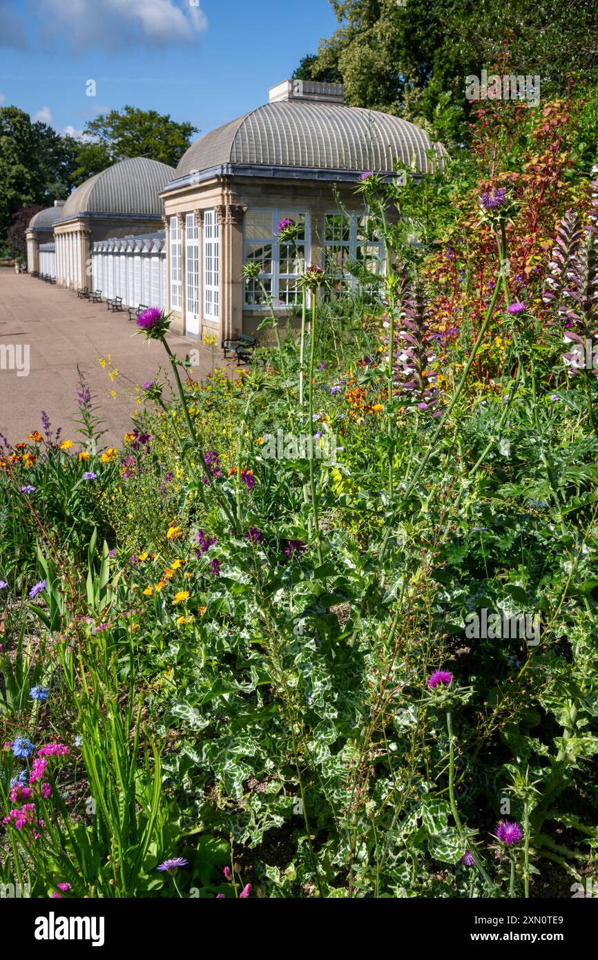 Mixed planting beside the glasshouses at Sheffield botanical gardens ...