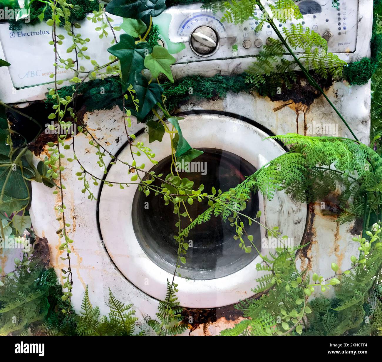 An old rusty washing machine overgrown with grass and plants. The ...