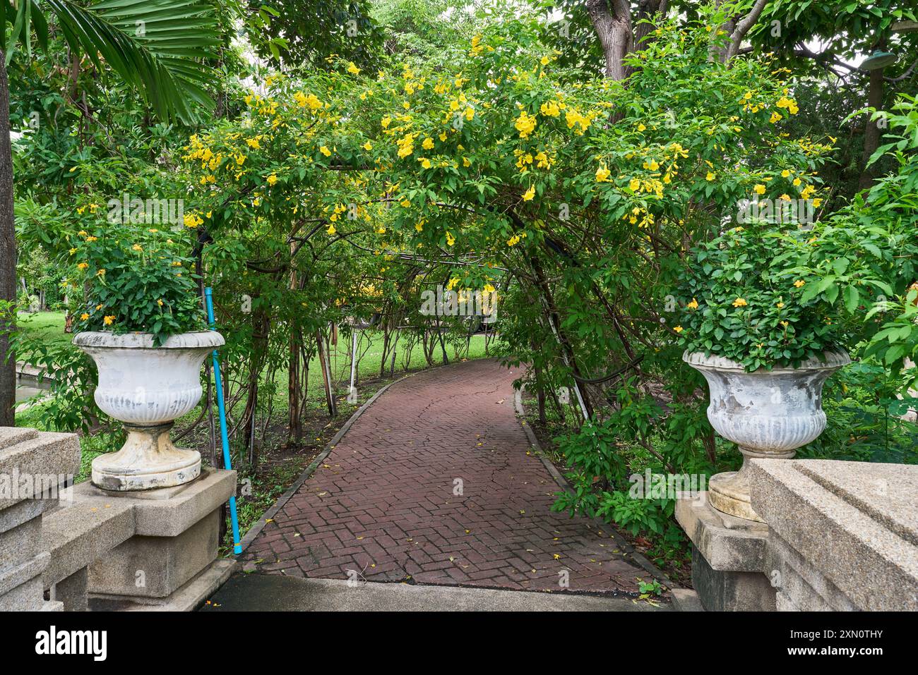 Saranrom park bangkok hi-res stock photography and images - Alamy