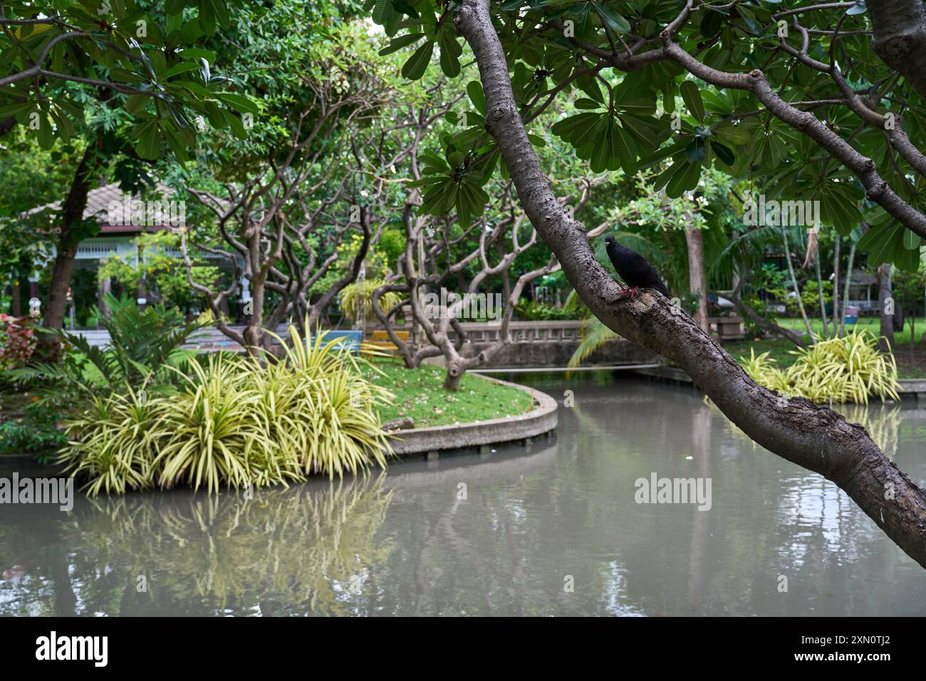 Saranrom park bangkok hi-res stock photography and images - Alamy