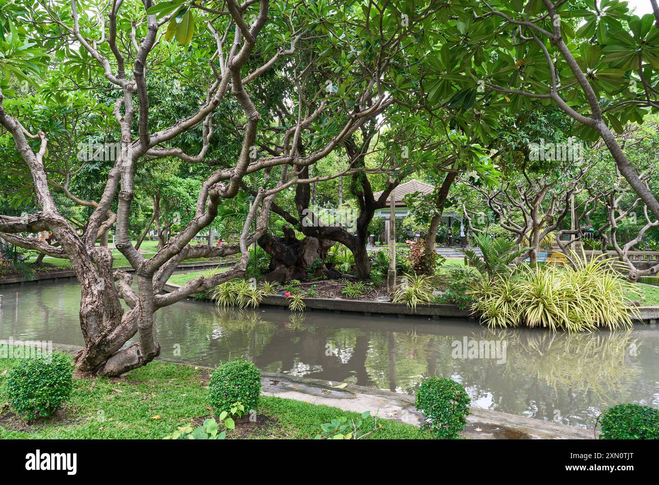 Saranrom park bangkok hi-res stock photography and images - Alamy