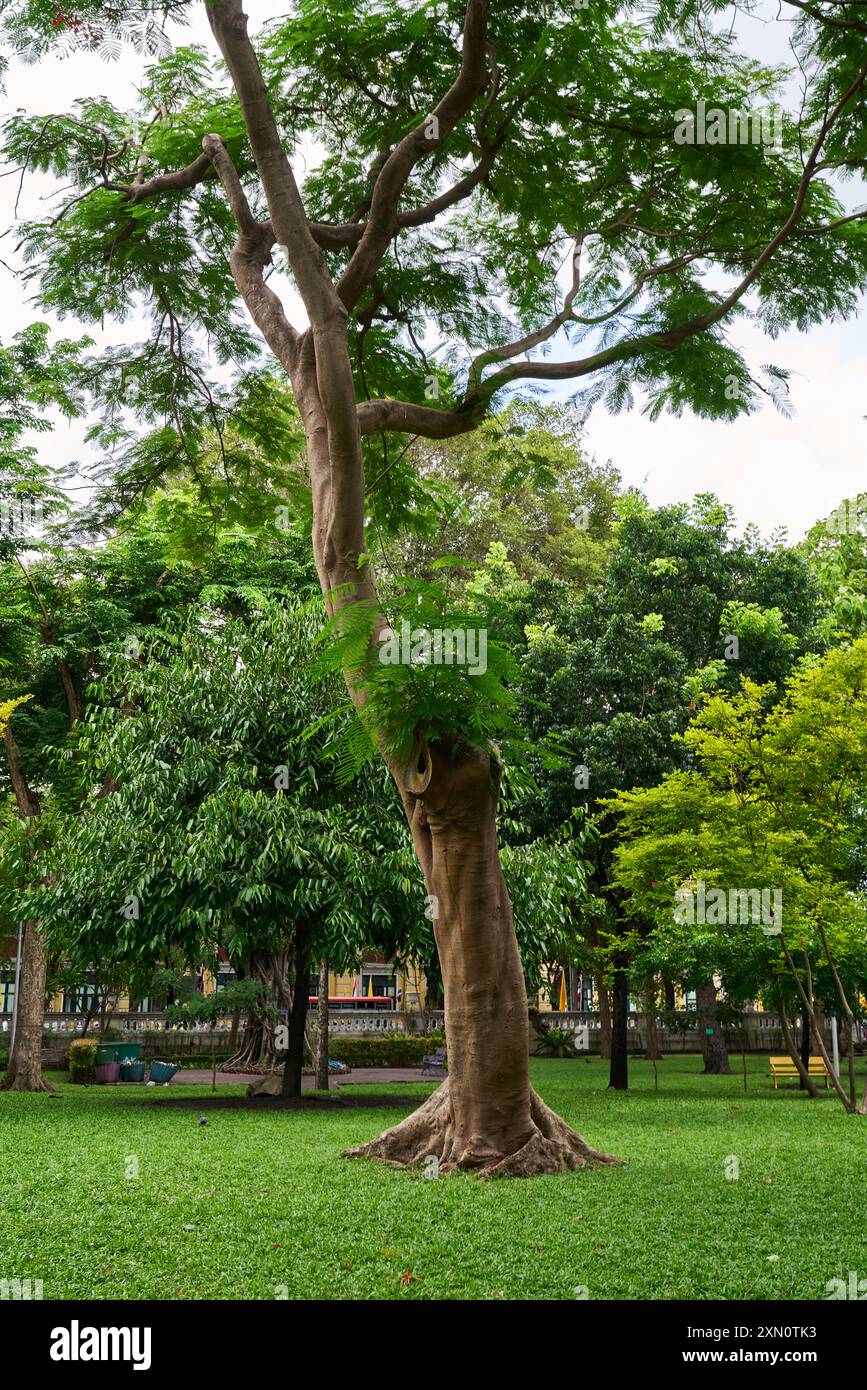 Saranrom Park in Bangkok, Thailand Stock Photo - Alamy